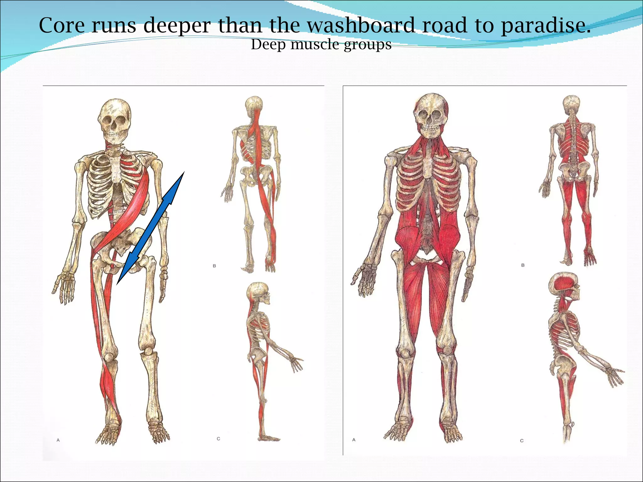 Asca core training from the top down | PPT