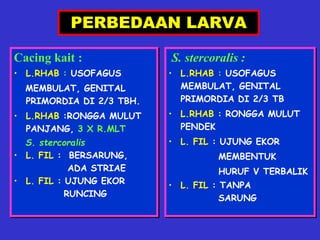 Ascariasis | PPTX