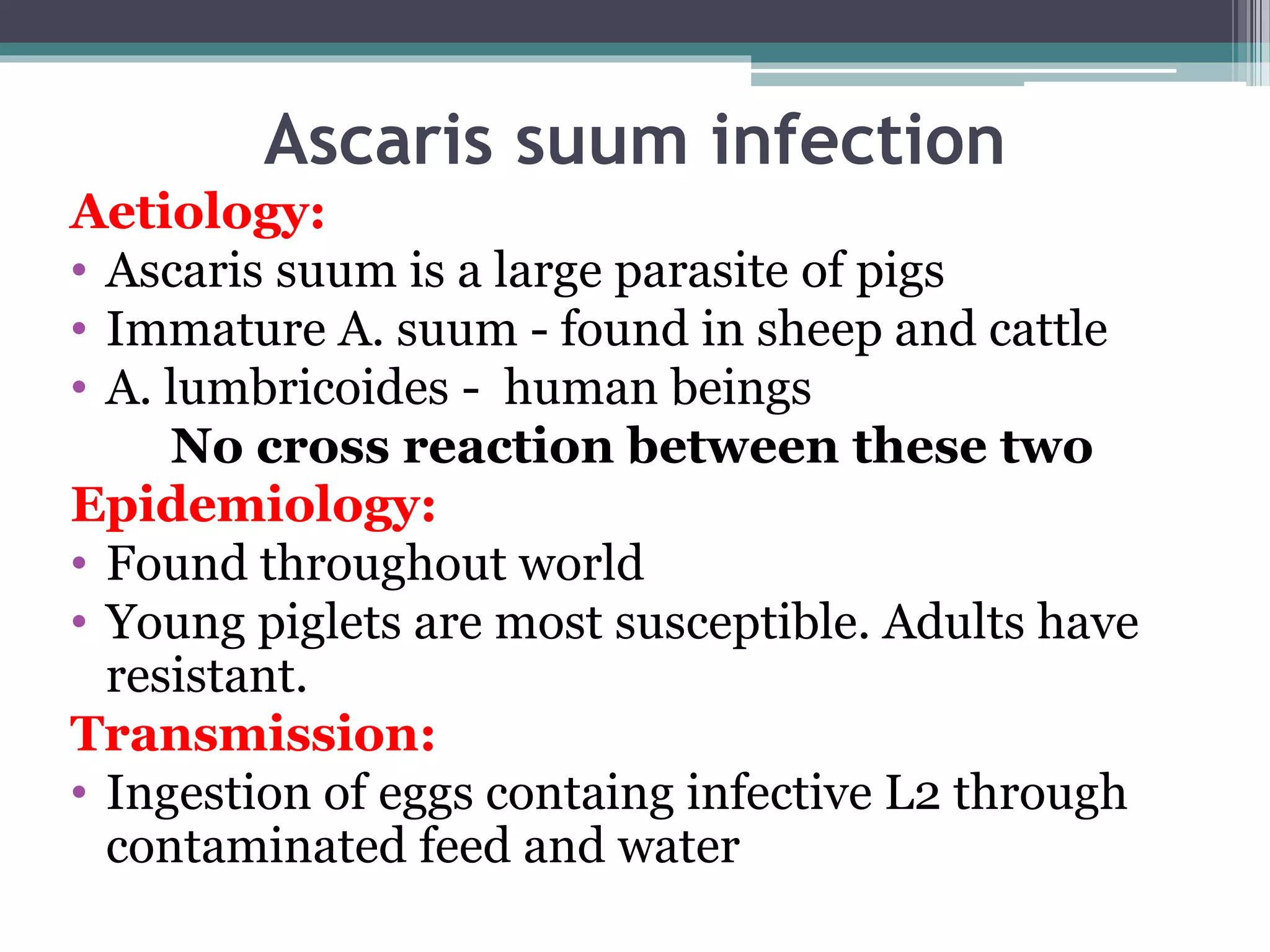 Ascariasis in domestic animals | PPTX
