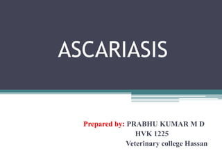 Ascariasis in domestic animals | PPTX