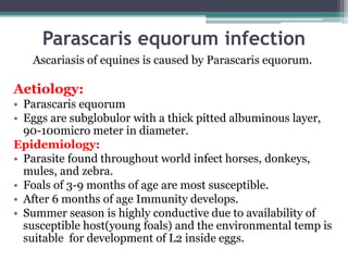 Ascariasis in domestic animals | PPTX