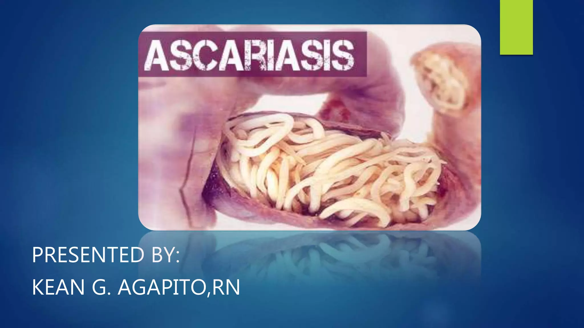 Ascariasis | PPTX