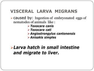 Ascariasis | PDF
