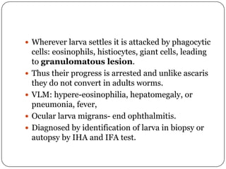 Ascariasis | PPT