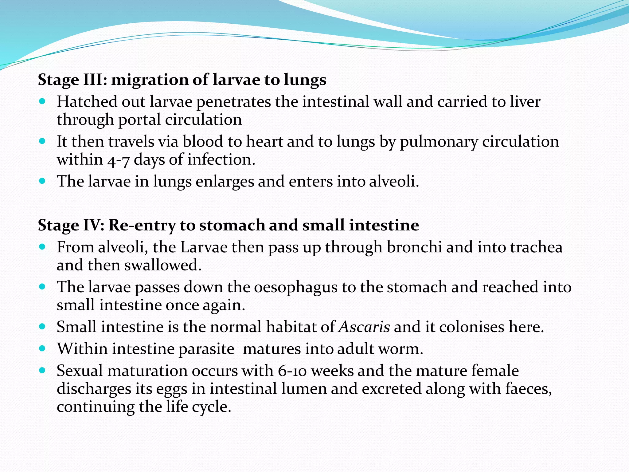 Ascariasis | PPTX | Digestive Disorders | Diseases and Conditions