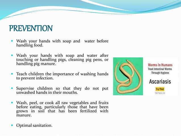 Ascariasis | PPT
