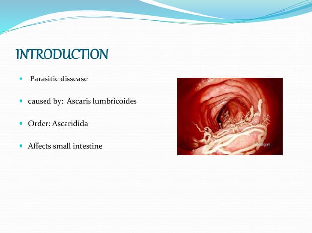 Ascariasis | PPT
