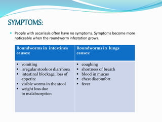 Ascariasis | PPTX | Digestive Disorders | Diseases and Conditions