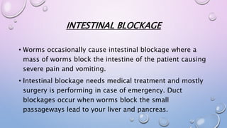 Ascariasis | PPTX