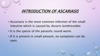 Ascariasis | PPTX