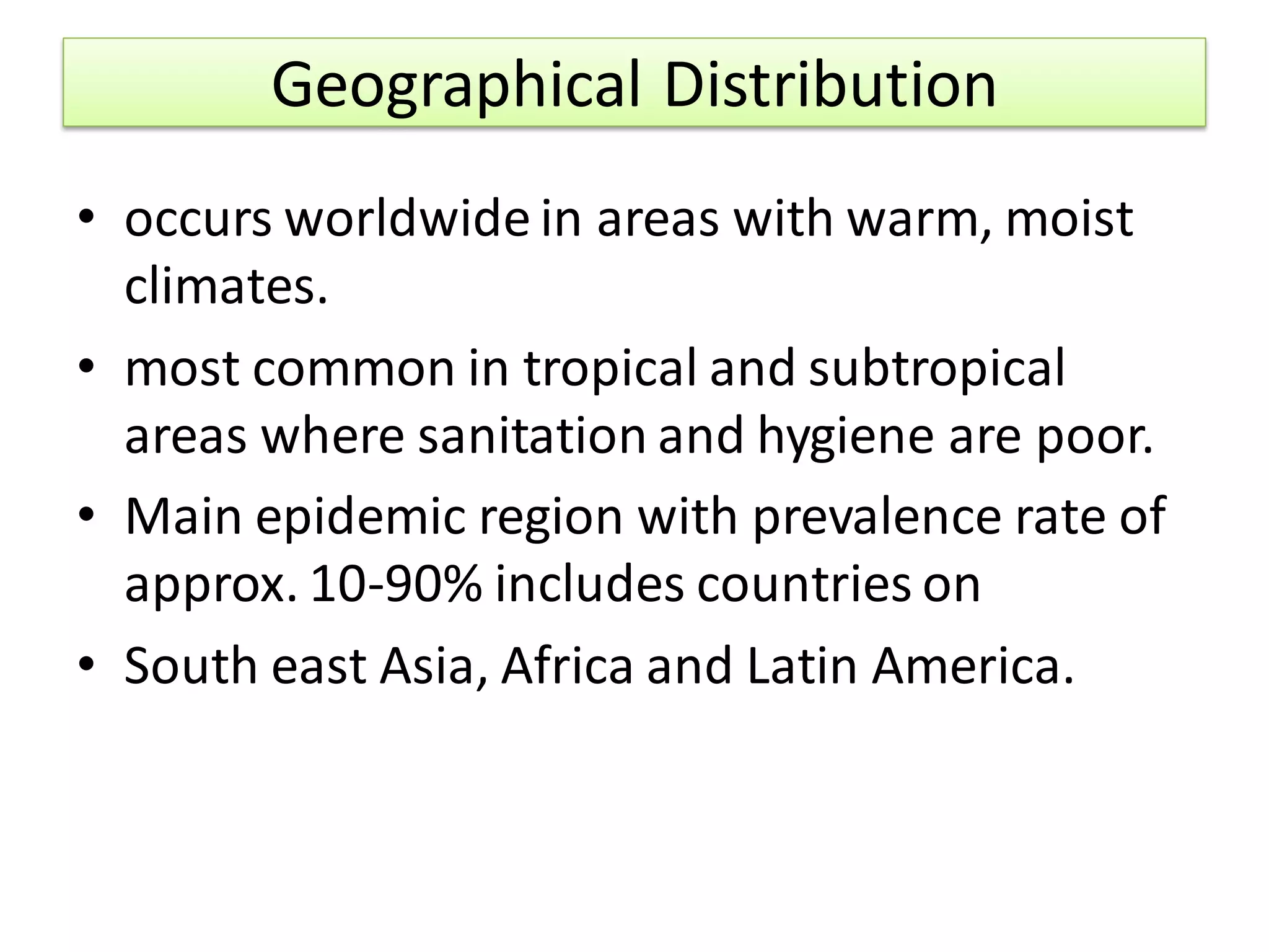 Ascariasis- Roundworm Infection | PDF