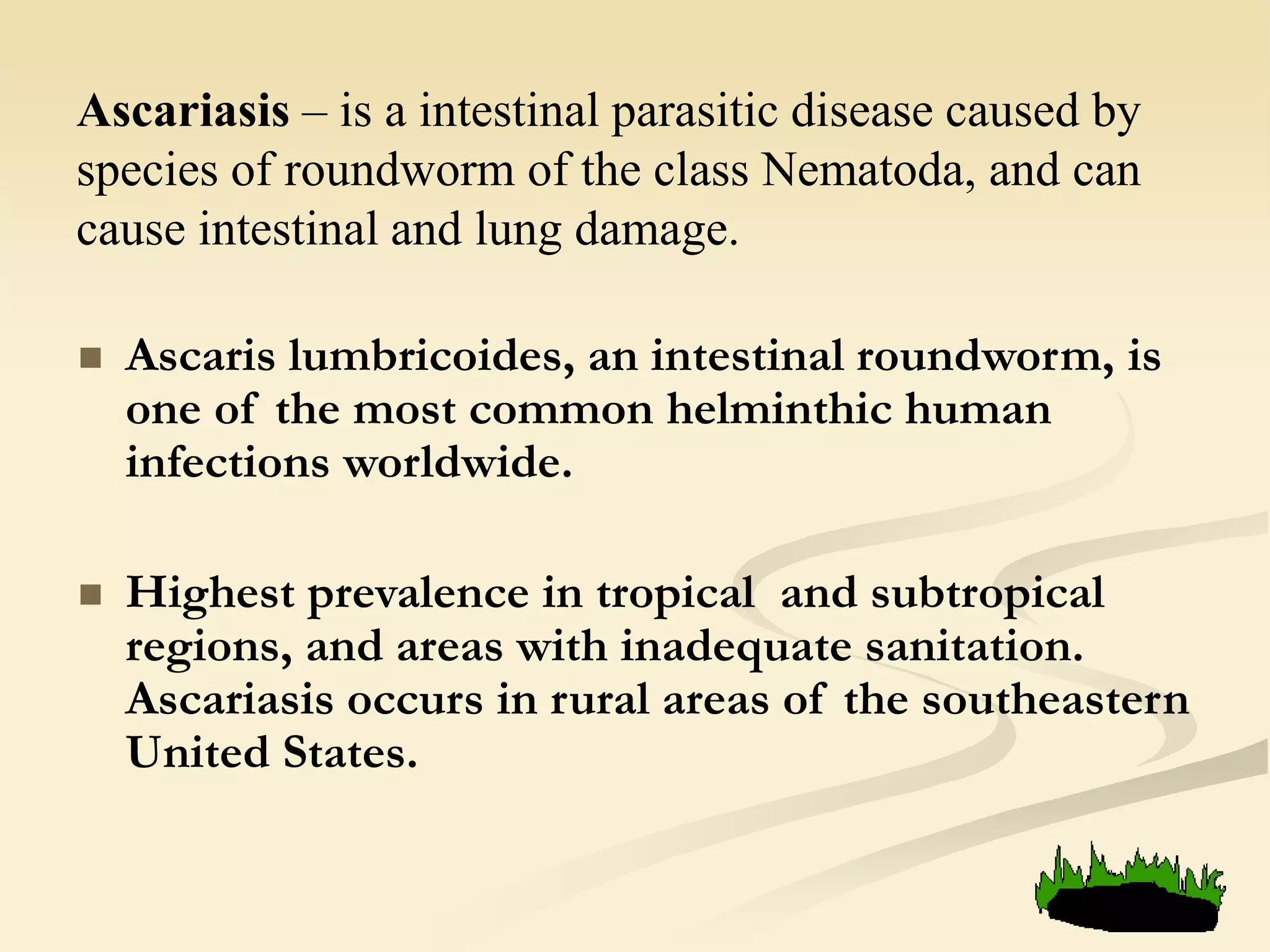ASCARIASIS.ppt