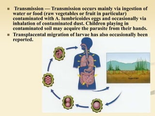 ASCARIASIS.ppt