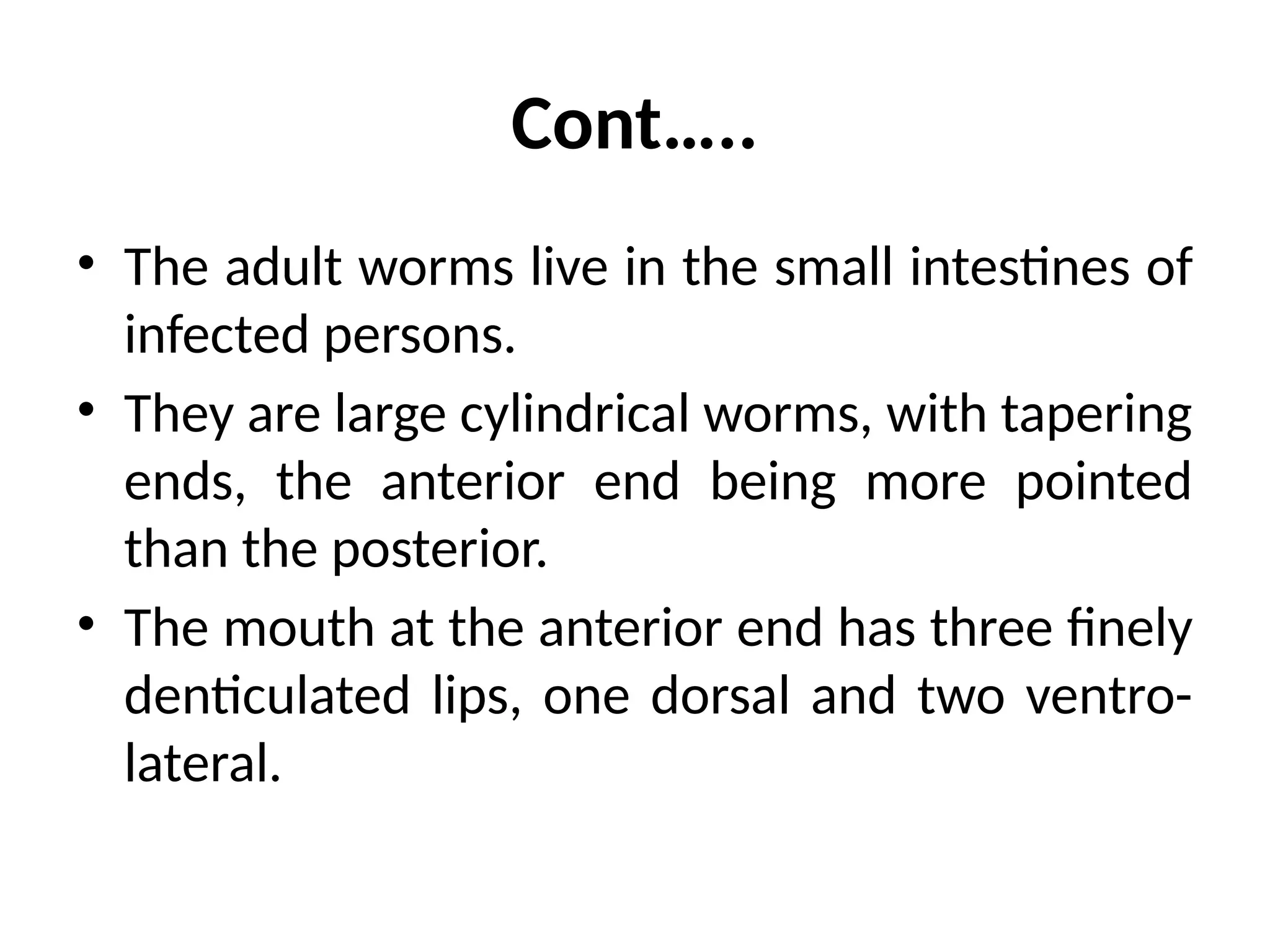 Ascaris lumbricoides is the most common parasitic worm in humans | PPTX