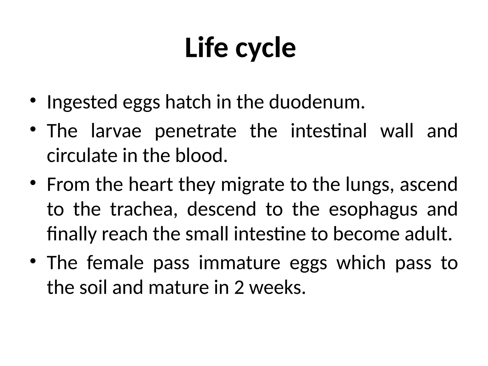 Ascaris lumbricoides is the most common parasitic worm in humans | PPTX