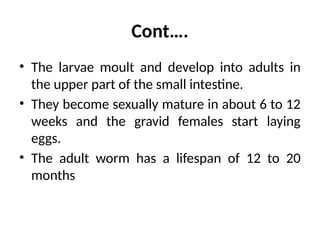 Ascaris lumbricoides is the most common parasitic worm in humans | PPTX