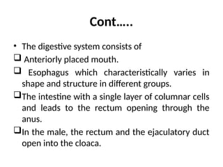 Ascaris lumbricoides is the most common parasitic worm in humans | PPTX