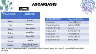 Ascariasis.pptx introducción, taxonomía, características generales ...