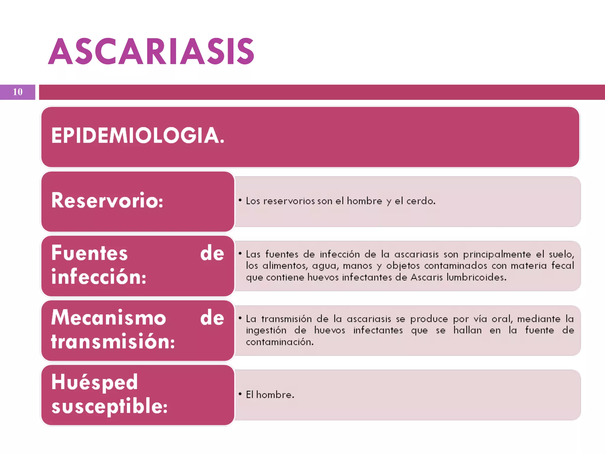 Ascariasis | PPT | Infectious Diseases | Diseases and Conditions