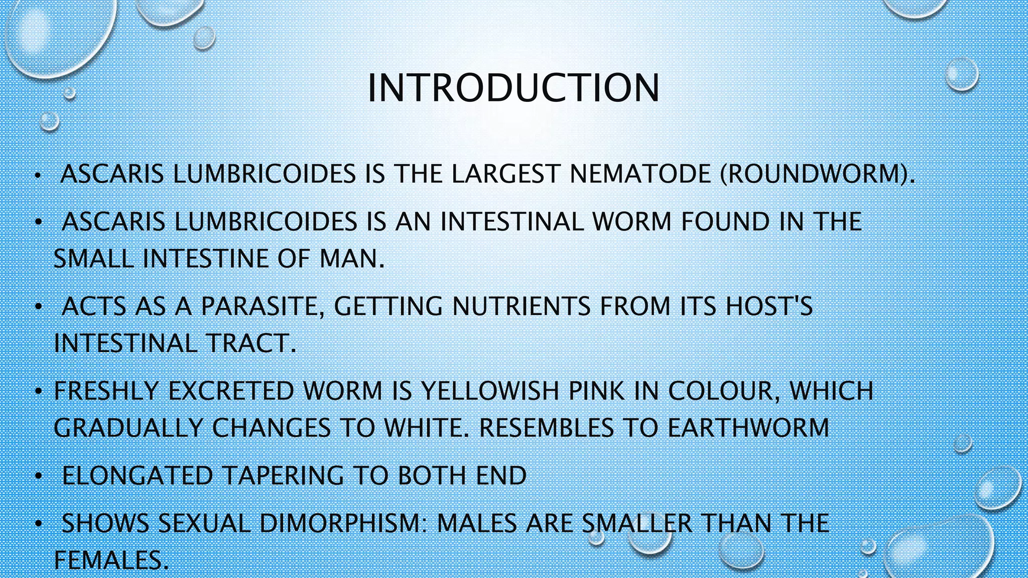 Ascariasis disease | PPTX