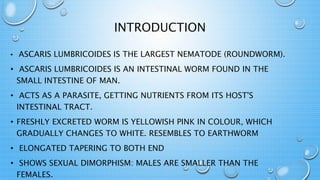 Ascariasis disease | PPTX | Digestive Disorders | Diseases and Conditions