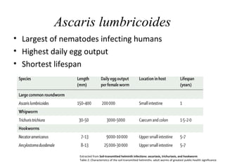 Ascariasis final | PPT