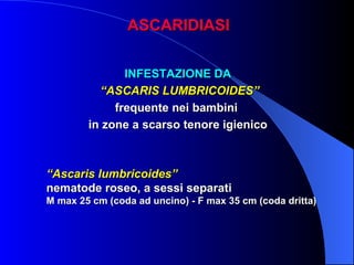 Ascaridiasi | PPT