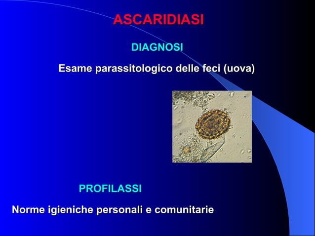 Ascaridiasi | PPT | Infectious Diseases | Diseases and Conditions