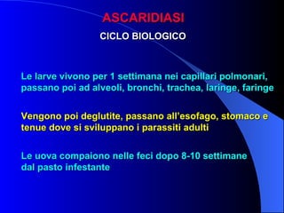 Ascaridiasi | PPT