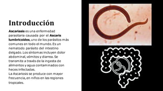 Ascariosis.pptx. La enfermedad parasitaria | PPT