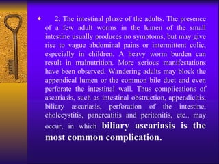 Ascaris | PPT