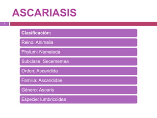 Ascaris | PPTX