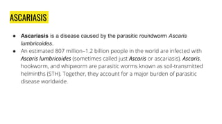 ASCARIS.pptx