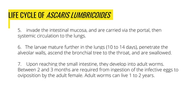 ASCARIS.pptx | Infectious Diseases | Diseases and Conditions