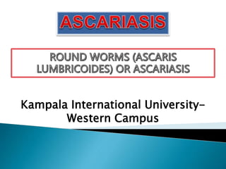 Round worms (Ascaris lumbricoides) introduction | PPTX
