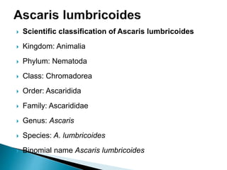 Round worms (Ascaris lumbricoides) introduction | PPT