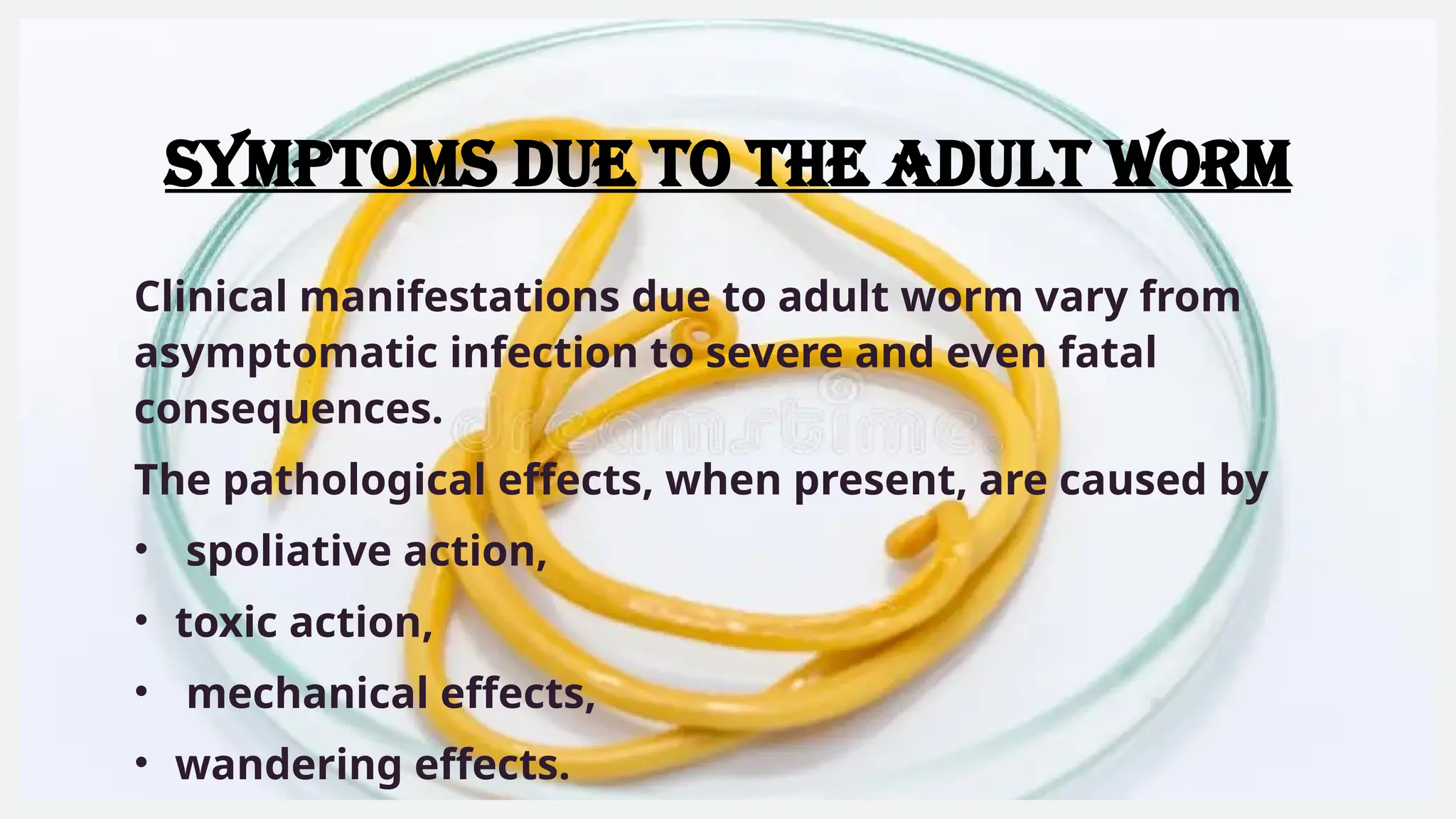ASCARIS-PATHOGENESIS AND CLINICAL FEATURE.pptx