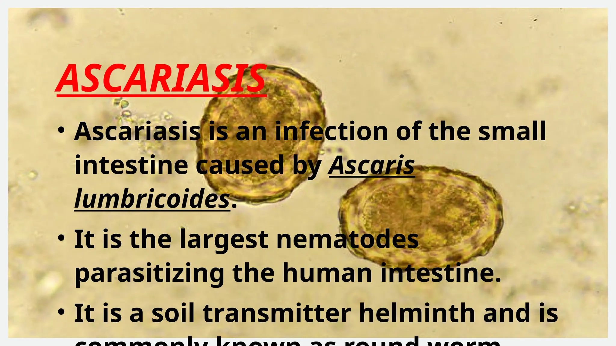 ASCARIS-PATHOGENESIS AND CLINICAL FEATURE.pptx