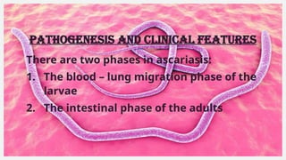ASCARIS-PATHOGENESIS AND CLINICAL FEATURE.pptx