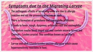 ASCARIS-PATHOGENESIS AND CLINICAL FEATURE.pptx