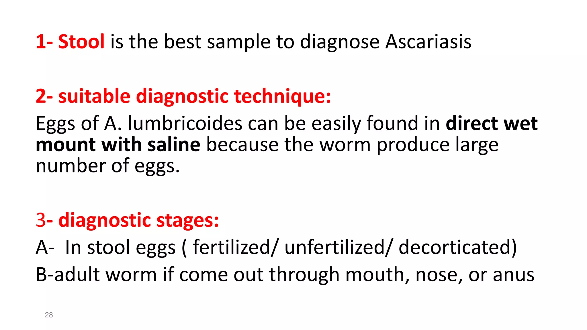 Ascaris Lumbricoides | PPTX