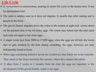 Parasitology Helmin Ascaris & Enterobius.pptx