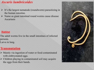 Parasitology Helmin Ascaris & Enterobius.pptx