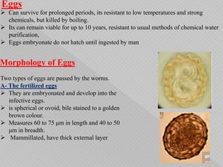 Parasitology Helmin Ascaris & Enterobius.pptx