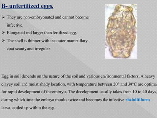 Parasitology Helmin Ascaris & Enterobius.pptx