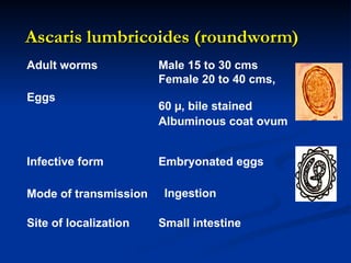 Ascaris, Enterobius, Hookworm and Trichrous 6.ppt