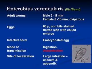 Ascaris, Enterobius, Hookworm and Trichrous 6.ppt