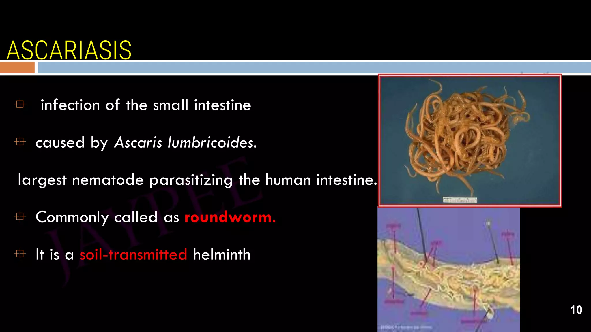 ASCARIS final ppt class.pptx