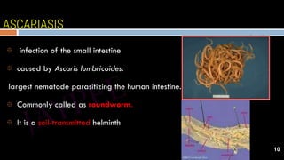 ASCARIS final ppt class.pptx