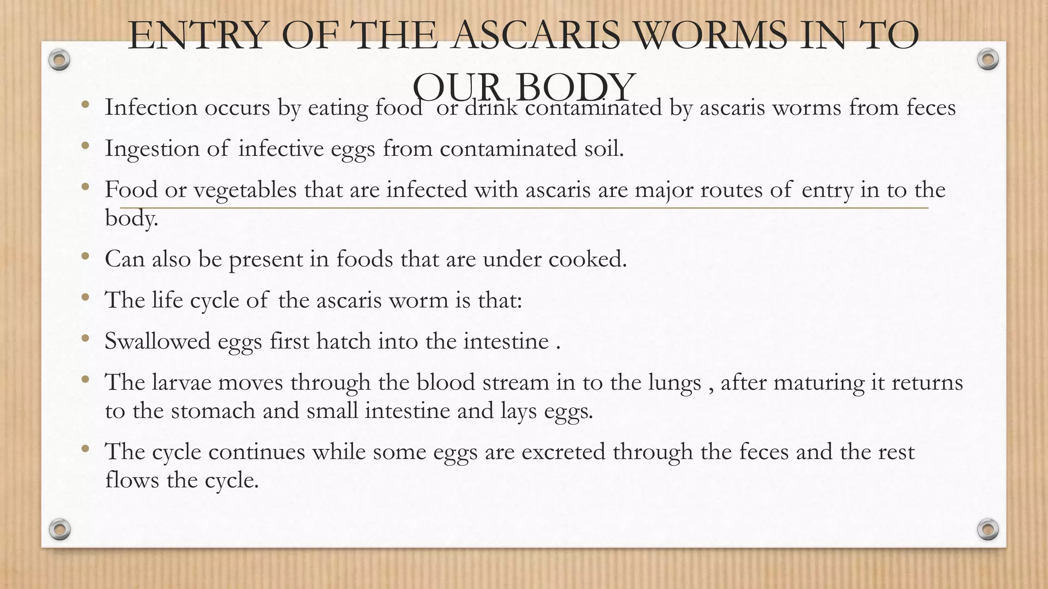Ascaris intestinal worm | PPT